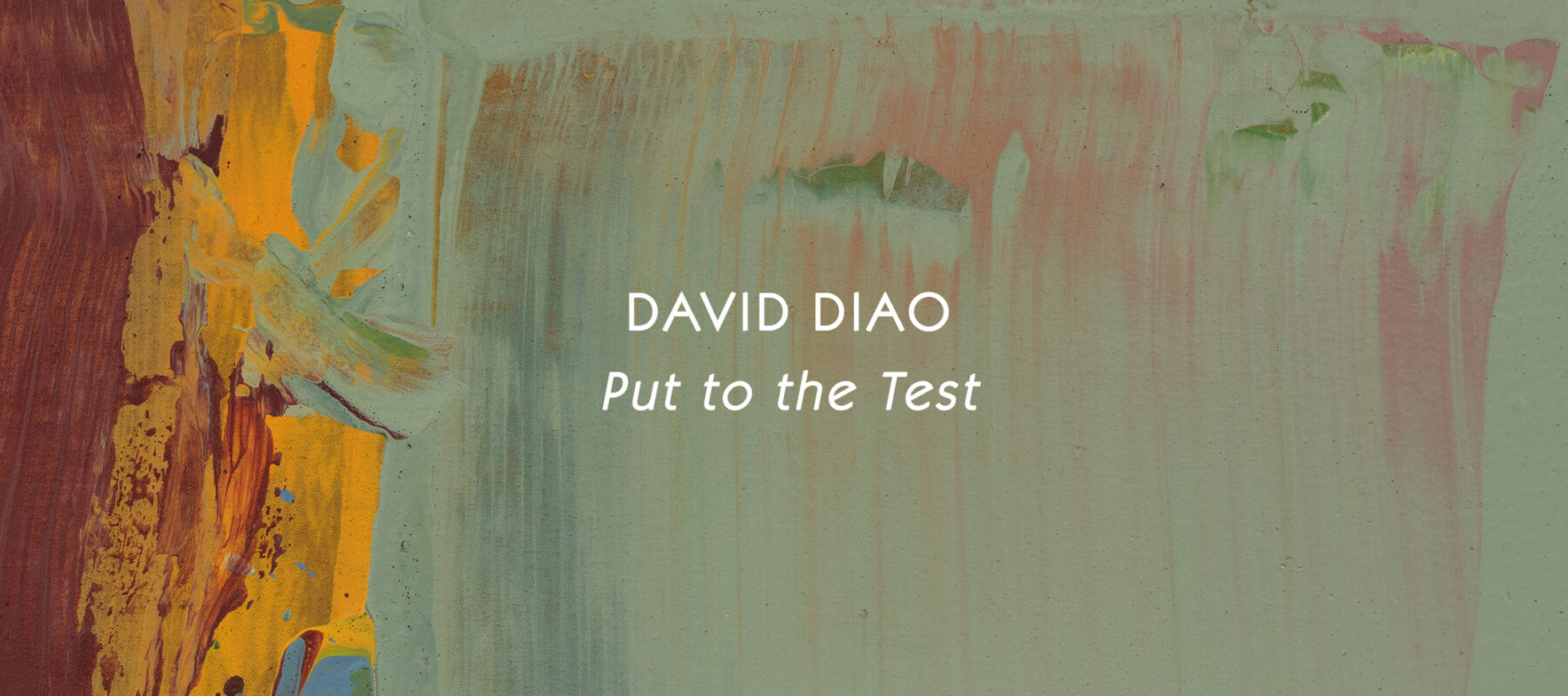 David Diao | Put to the Test | Greene Naftali