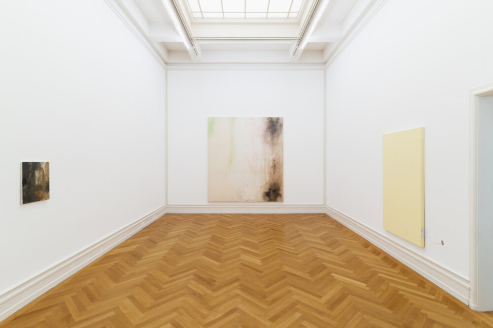 Monika Baer | Greene Naftali