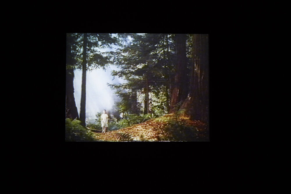 Julie Becker | Greene Naftali