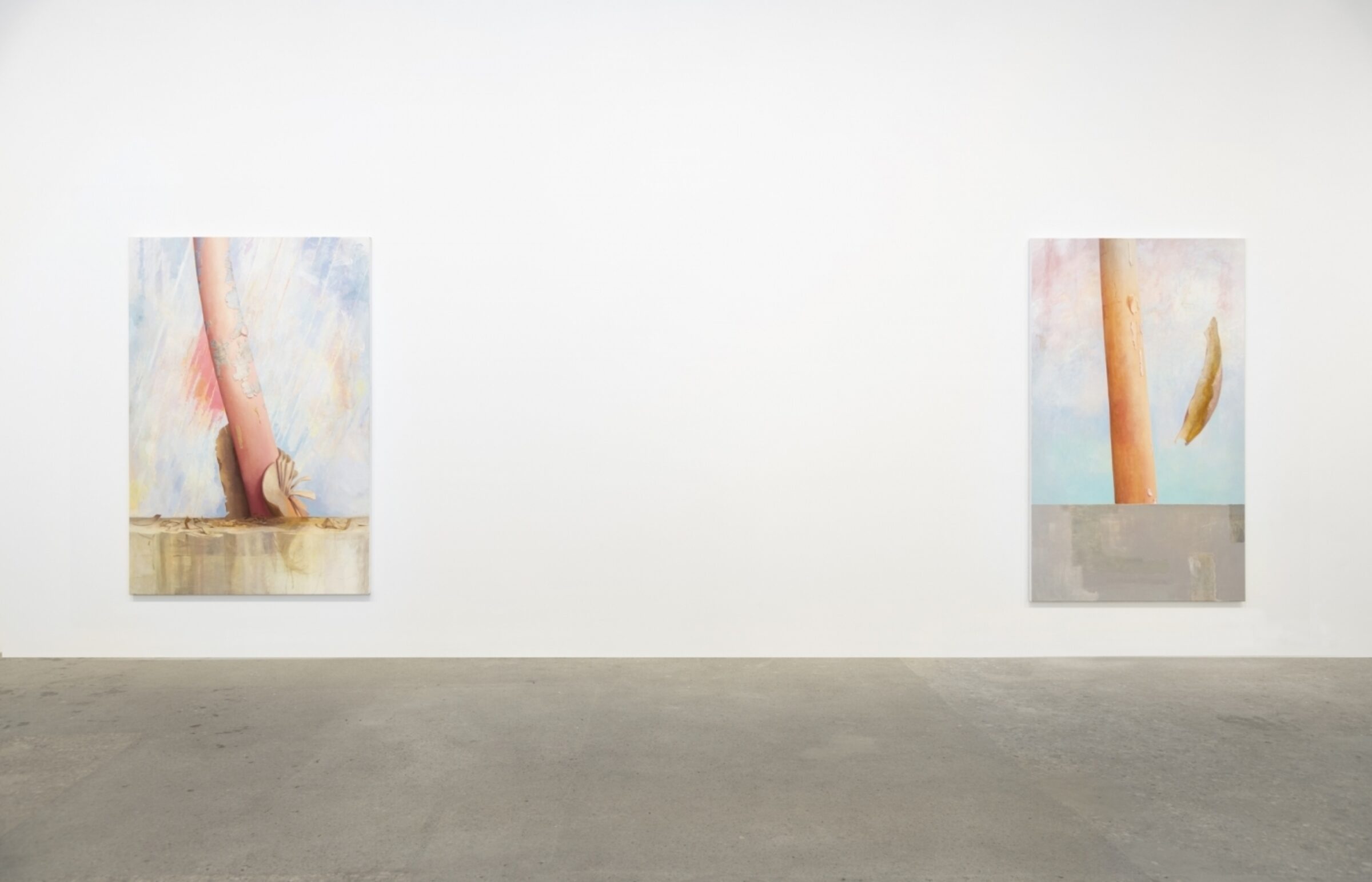 Monika Baer: loose change | Greene Naftali