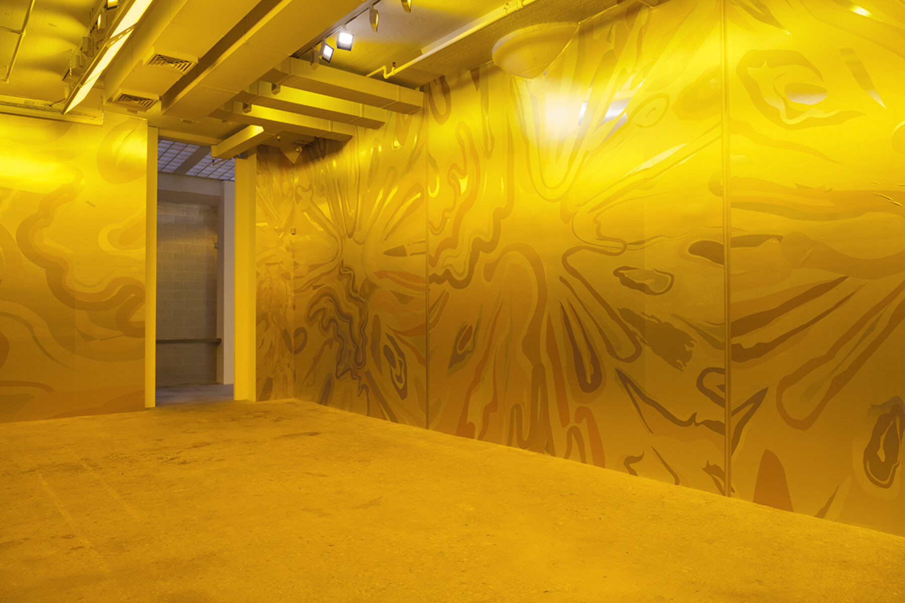 Peter Halley | Greene Naftali