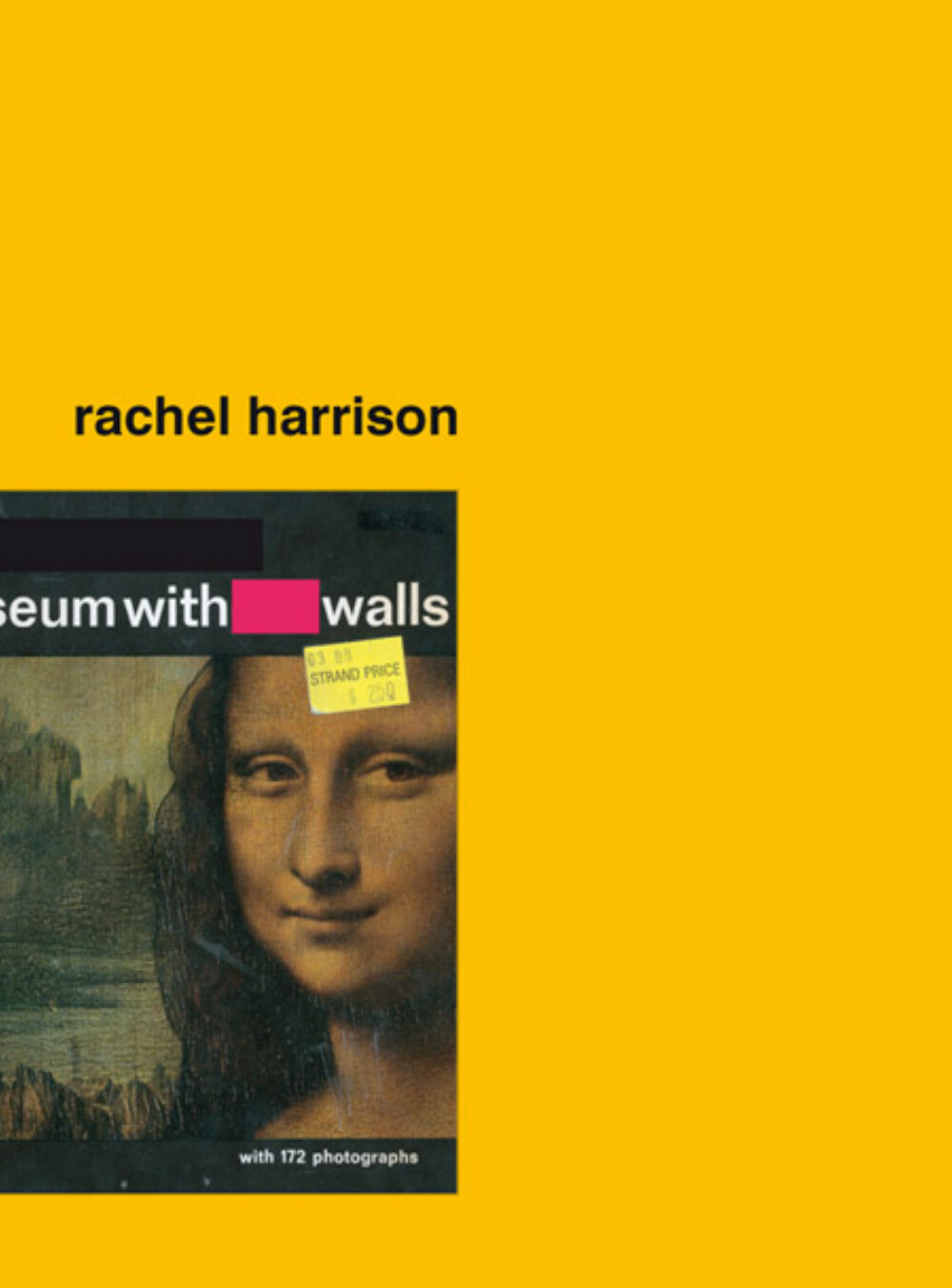 Rachel Harrison | Greene Naftali