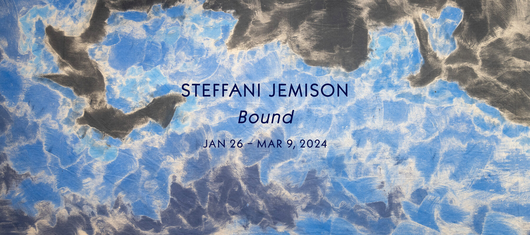 STEFFANI JEMISON | Greene Naftali